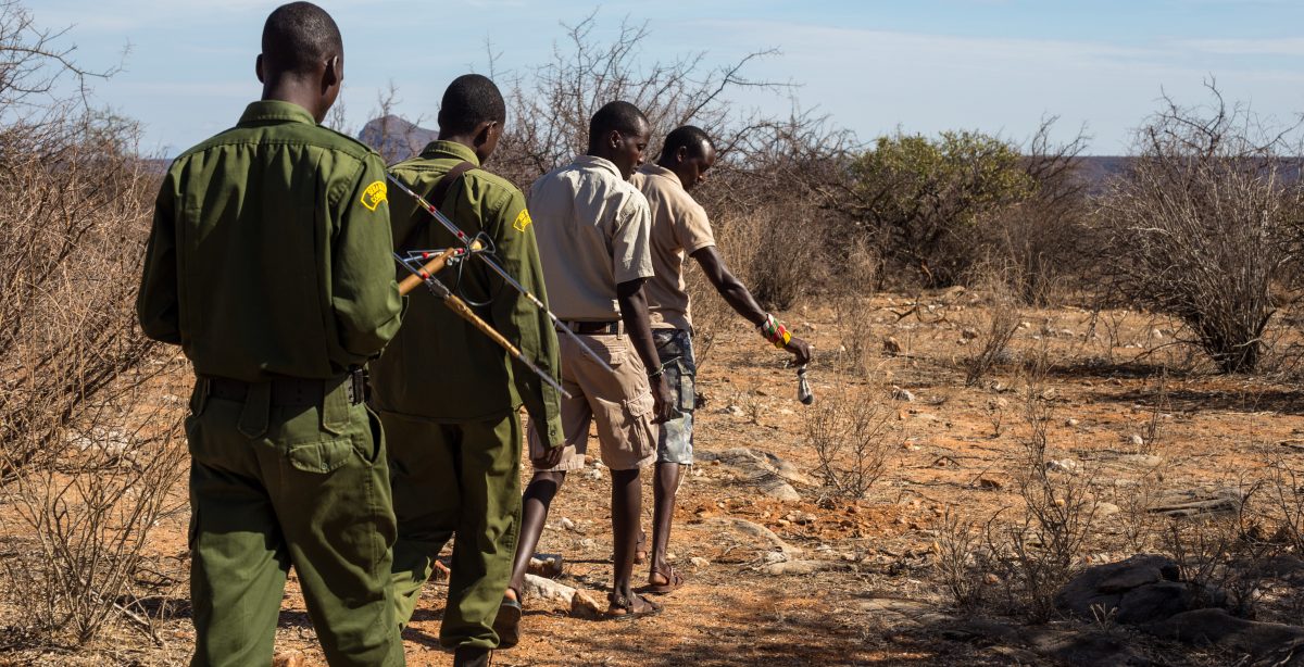 Sera and Melako: the NRT and the community conservancy as excellent ...