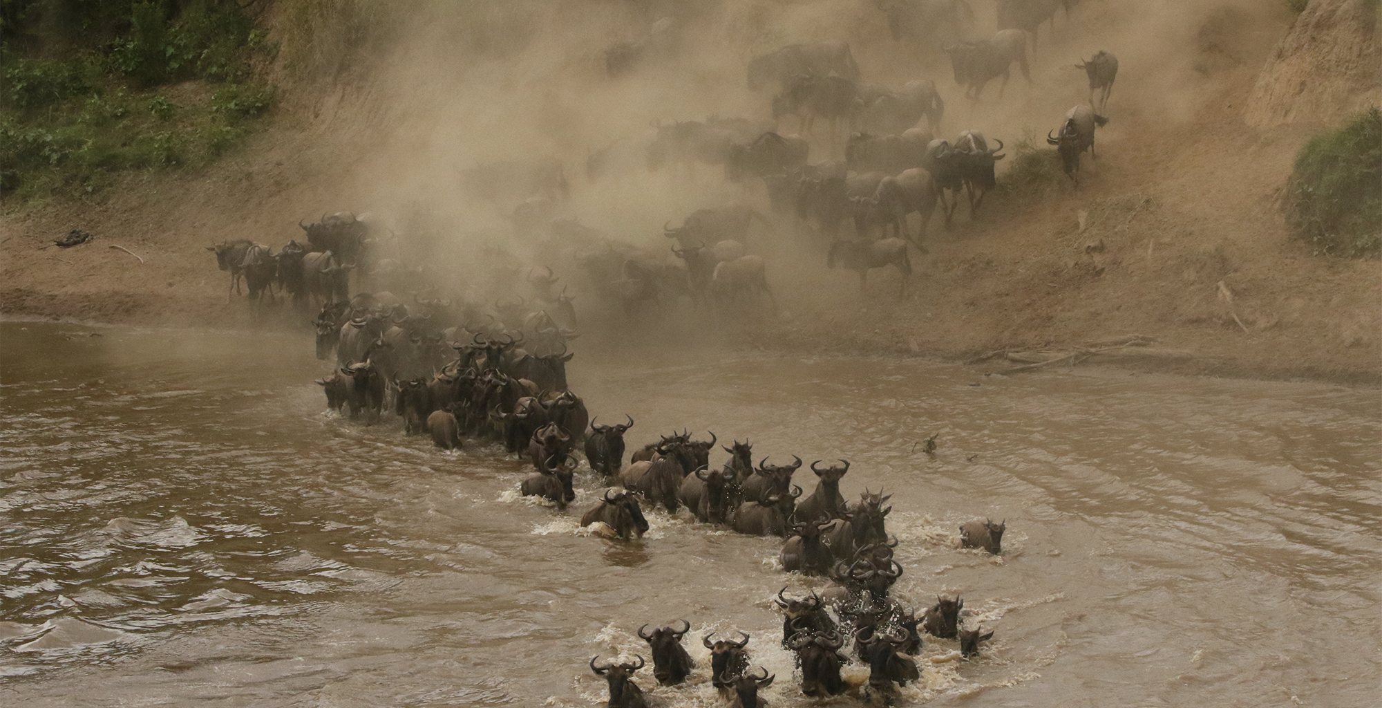 Mara Conservancy Kenya - Wild Philanthropy